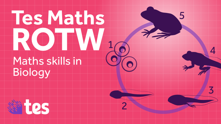 Numeracy across the Curriculum Archives - Mr Barton Maths Podcast